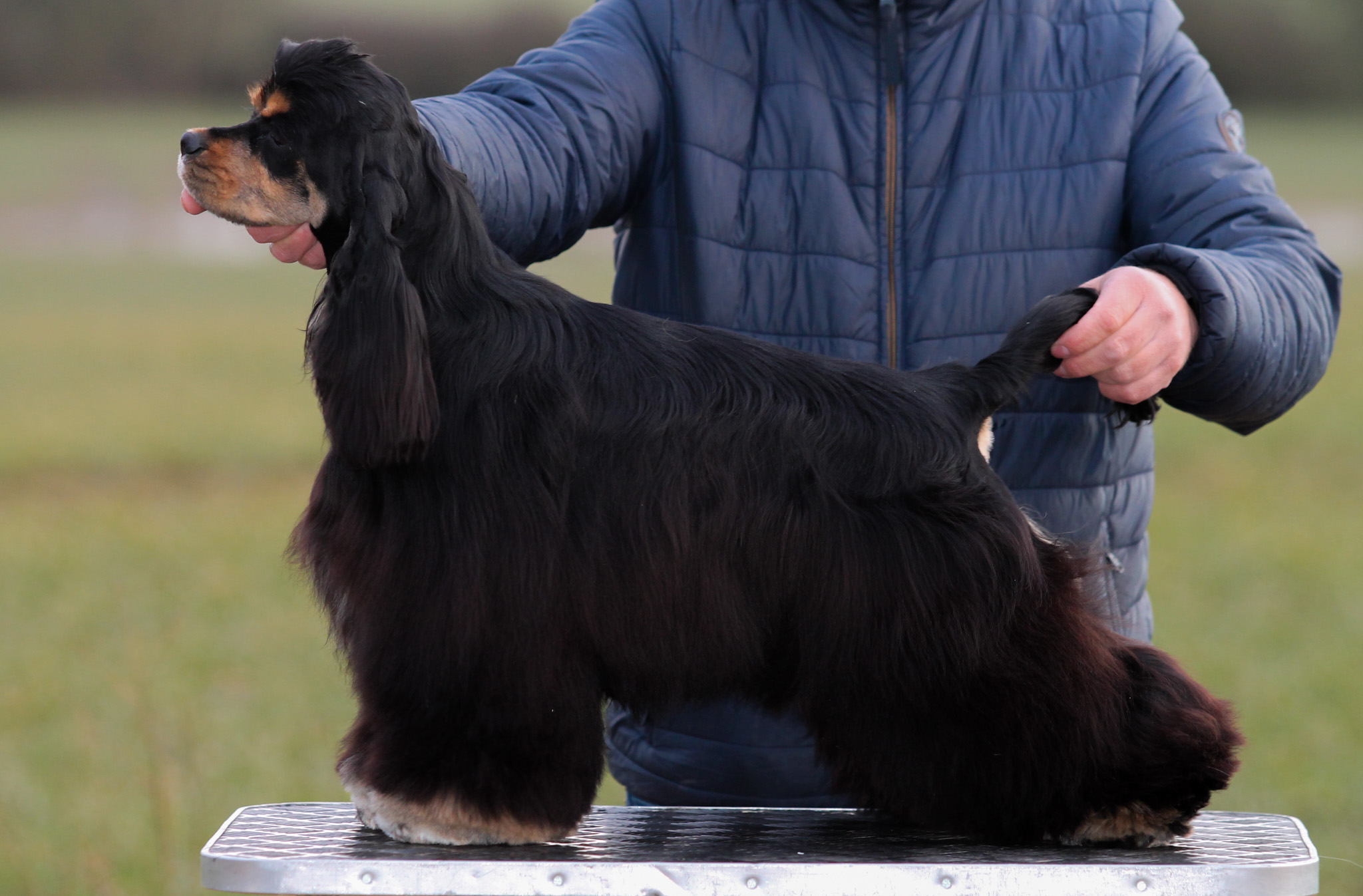 Mini Bis – Galaksi Tempting Seduction